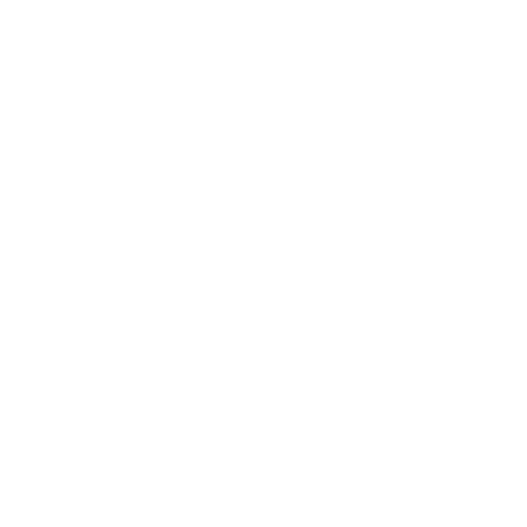 Reporting Tools - DonorSnap